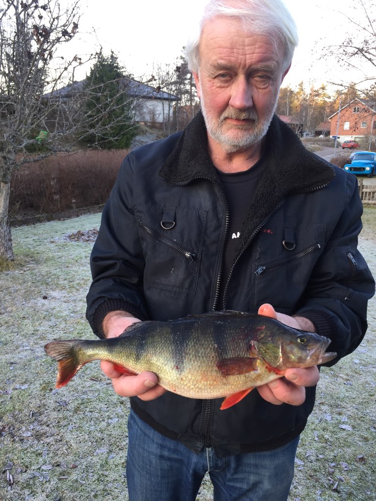 Bjursås Leksands FVO | Mattias Höglund-2020-01-05-Gädda-3650